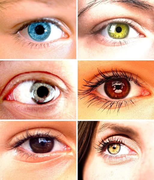 Scientists Discover The Connection Between Eye Color and Personality ...
