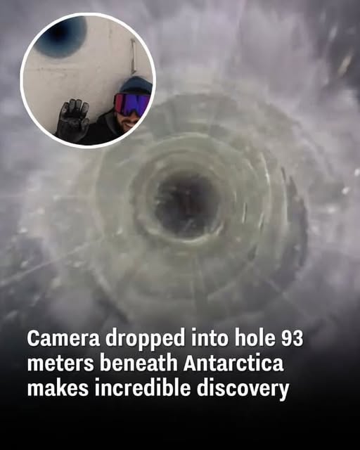 Camera Lowered Into Hole 93 Meters Beneath Antarctica Makes Stunning ...