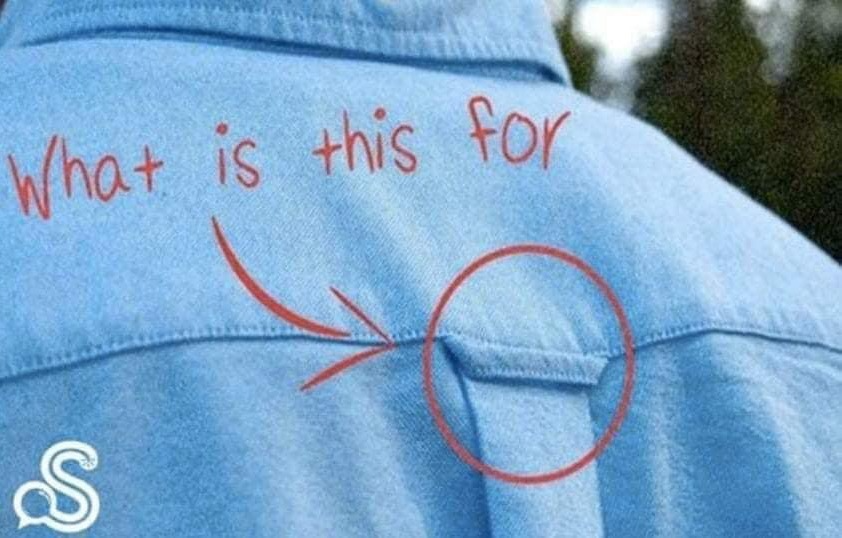 Why Does My Shirt Have a Loop on the Back? Learn more: https://www ...