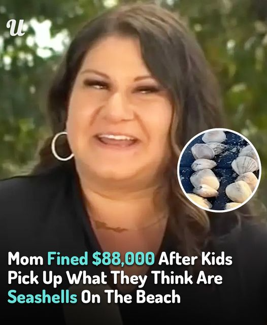 Mom Fined $88,000 After Her Kids Pick Up ‘Seashells’ On Beach ...