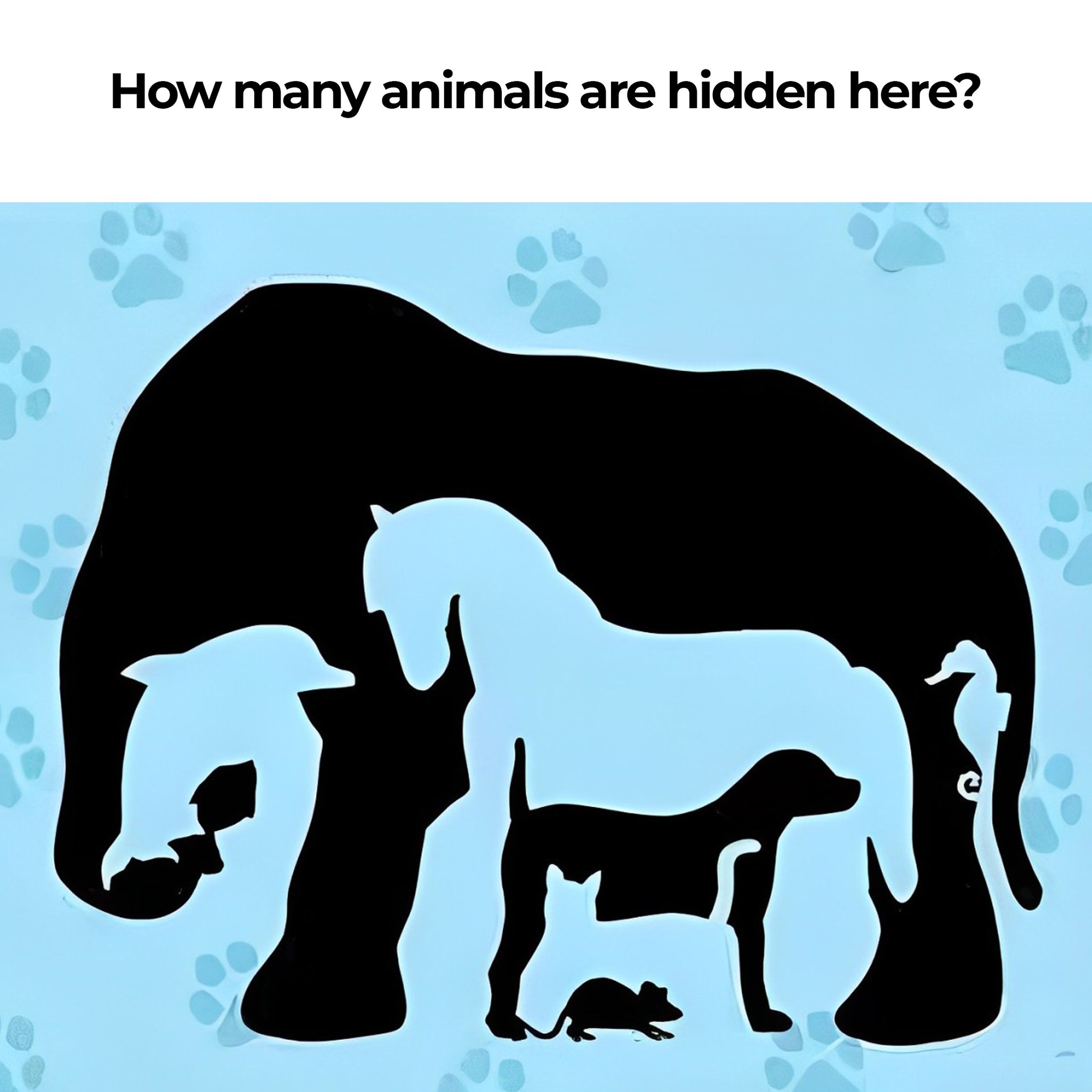 Can you spot the hidden animals in this optical illusion? - Weveryday ...