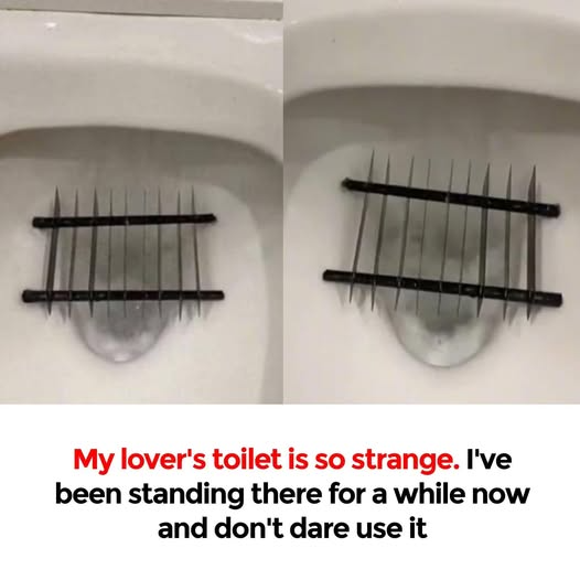 Woman stunned over a strange metal object placed inside lover’s toilet - Weveryday Stories