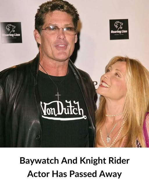 Baywatch Star and David Hasselhoff’s Ex Wife Passed Away At 61 ...