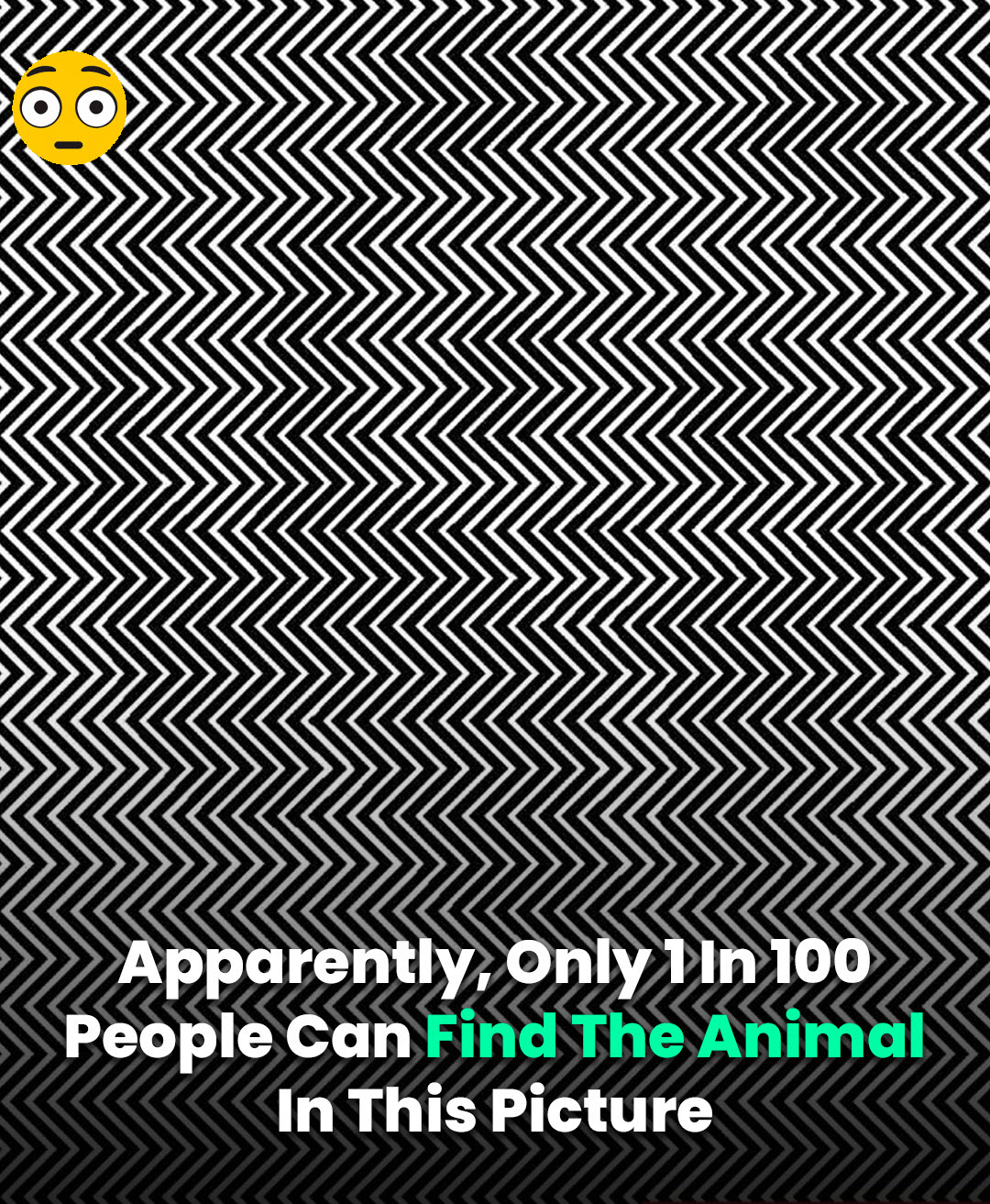 Most Eyes Can’t Detect the Hidden Image Behind These Wavy Lines, Can ...