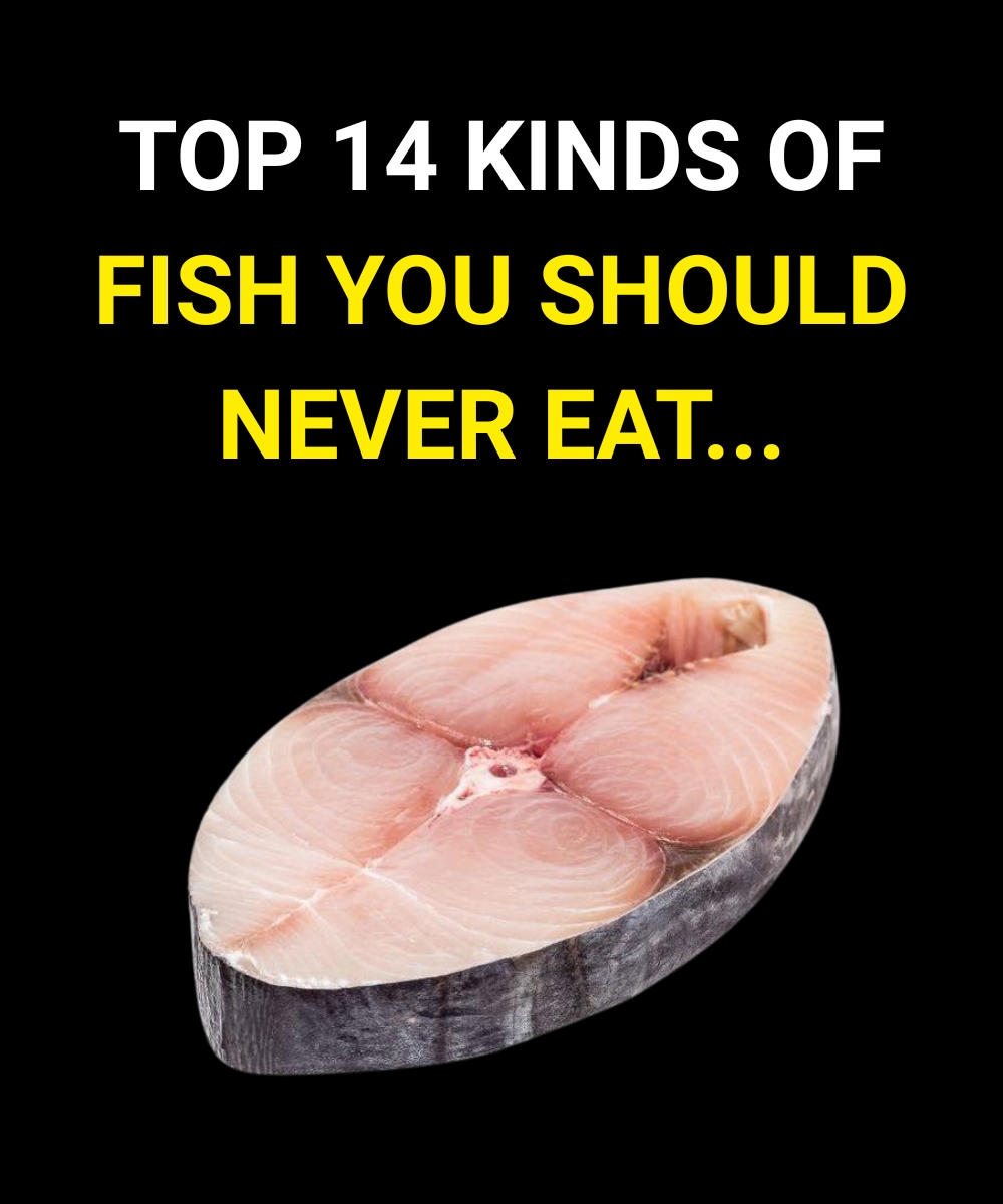 14 Types of Fish That Are Best Left Off Your Plate - Weveryday Stories