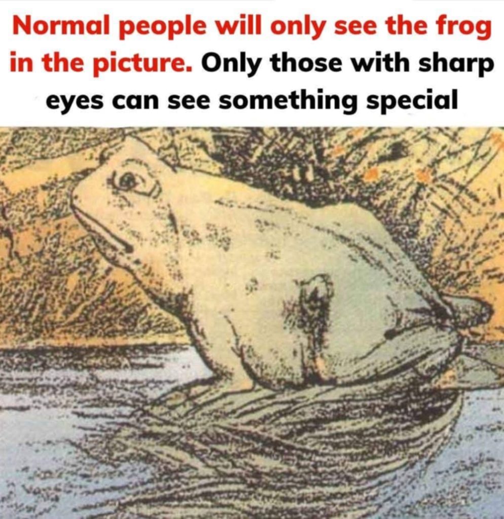 Only certain people can see the animal hidden in the frog in this ...