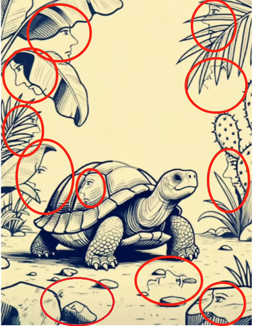 Optical Illusion Challenge: How Many Faces Can You Spot in This Mind ...