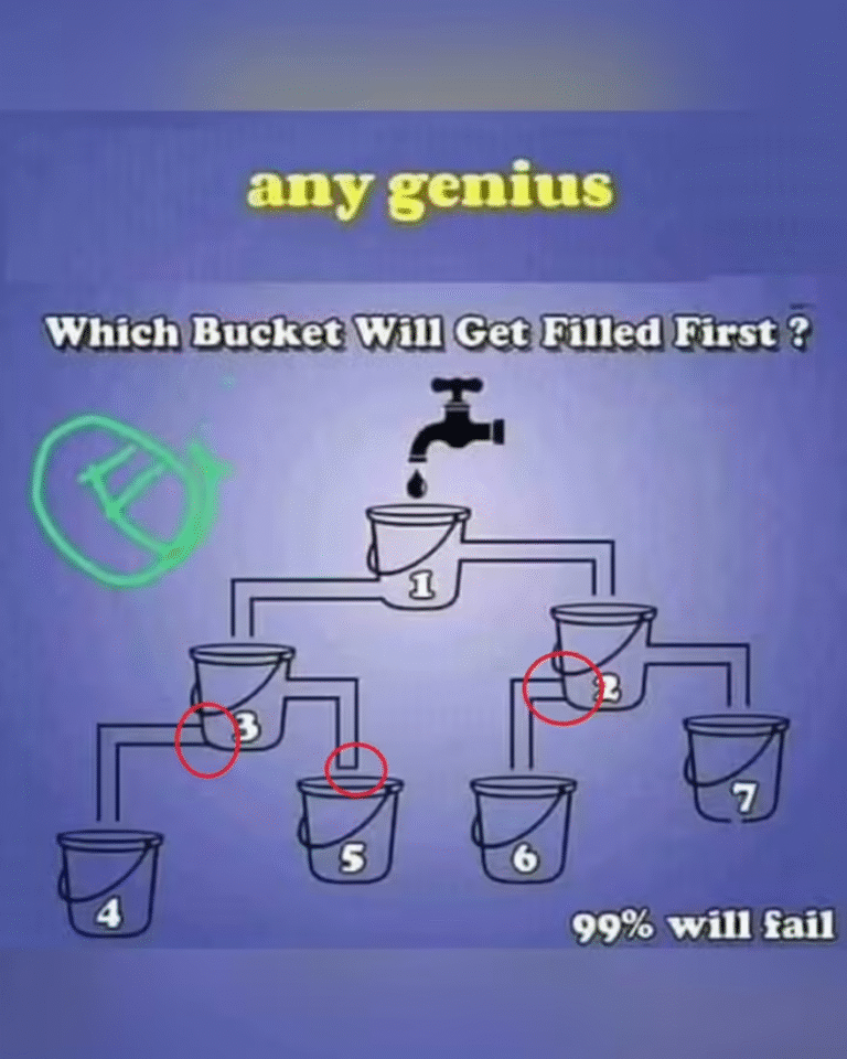 Which bucket will get filled first? 99% will Fail! - Weveryday Stories