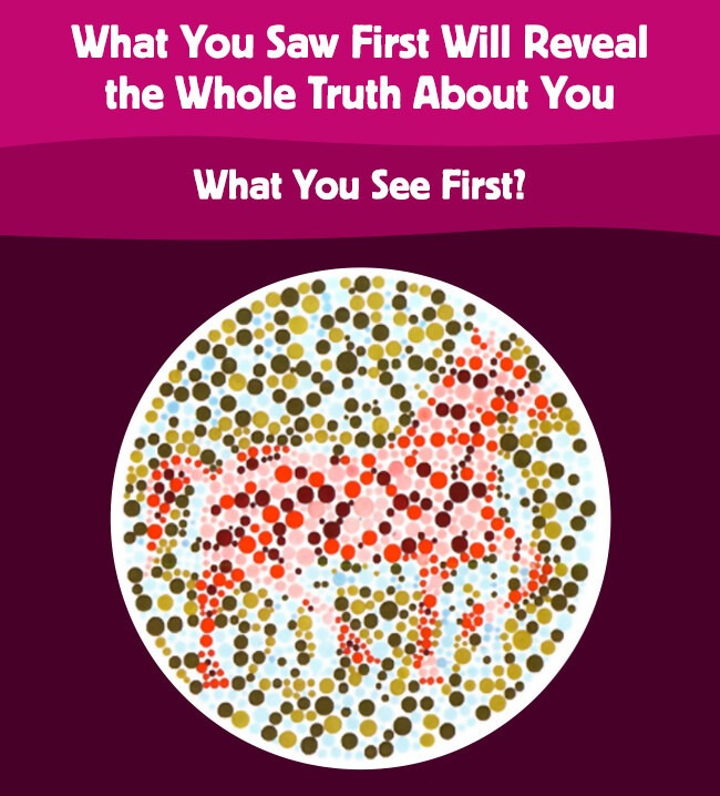 What Animal Do You See First - Weveryday Stories