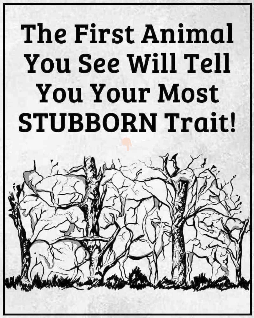 The first animal you see represents your most stubborn trait ...