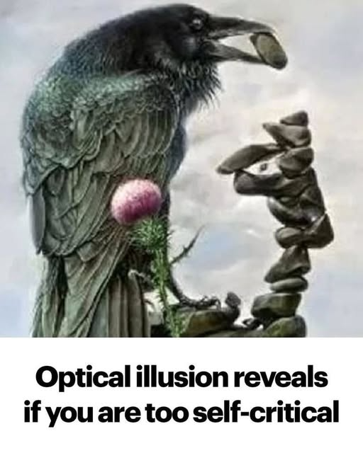 Optical illusion reveals if you are too self-critical - Weveryday Stories