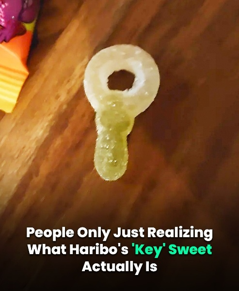 Just Realizing What Tangfastics ‘Key’ Sweet Actually Is - Weveryday Stories
