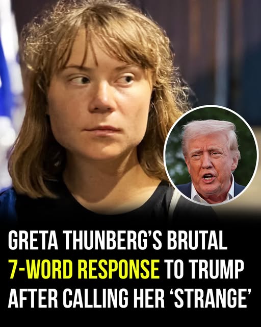 After being called “strange” by Donald Trump, Greta Thunberg delivers a sharp comeback ...