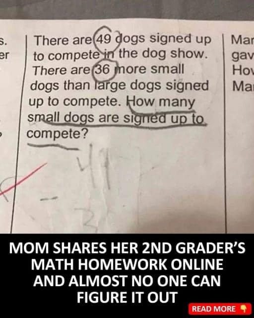 This Easy-Looking Equation Has Everyone Online Confused - Weveryday Stories