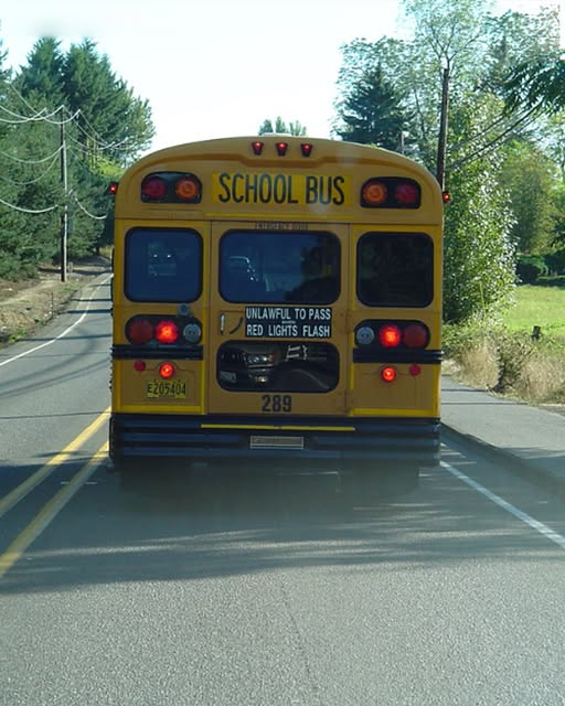The Child Crying for Help on the School Bus Window - Weveryday Stories