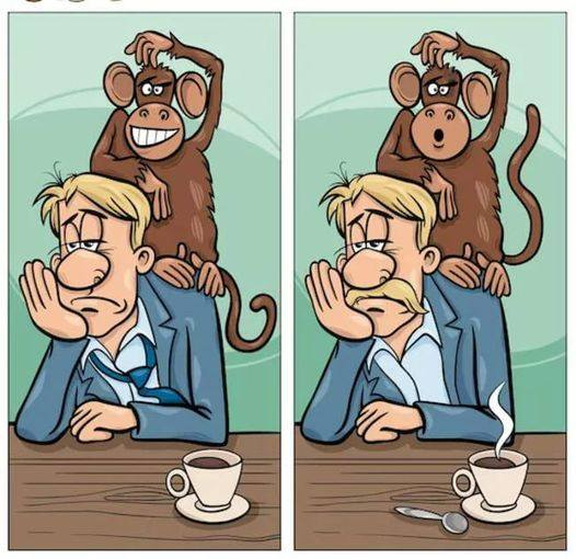 Can You Spot the 7 Tiny Differences Between These Pictures? - Weveryday ...