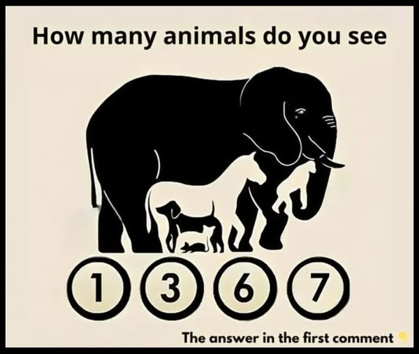 Can You Spot All the Hidden Animals in This Image - Weveryday Stories