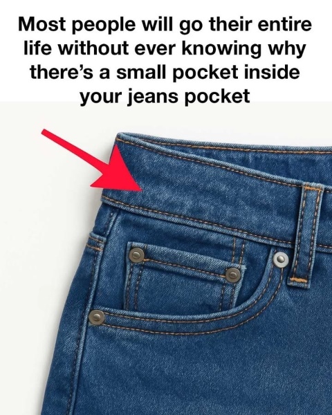 The origins of the tiny pocket through history - Weveryday Stories