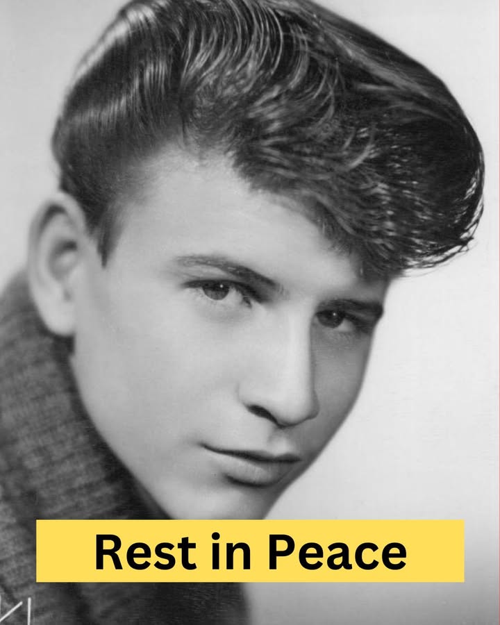 Teen Idol And Singer Passes Away - Weveryday Stories
