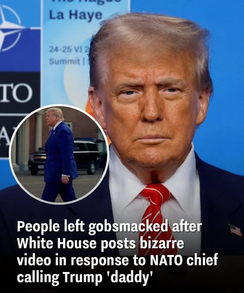 People left gobsmacked after White House posts bizarre video in ...