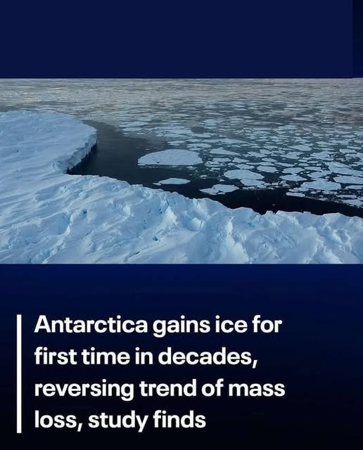 Antarctica sees first ice gain in decades - Weveryday Stories