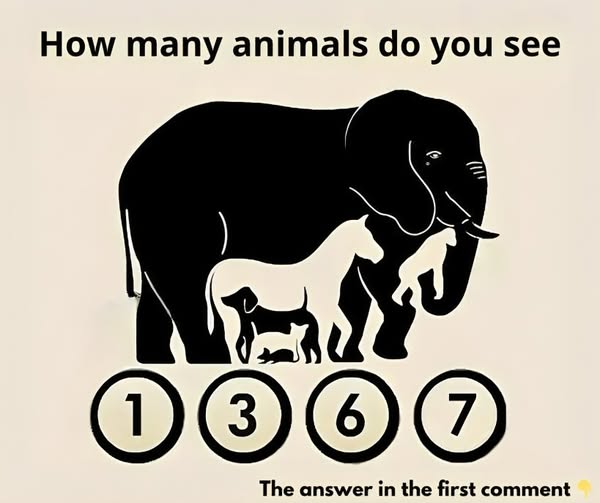 How many animals can you see in this picture - Weveryday Stories