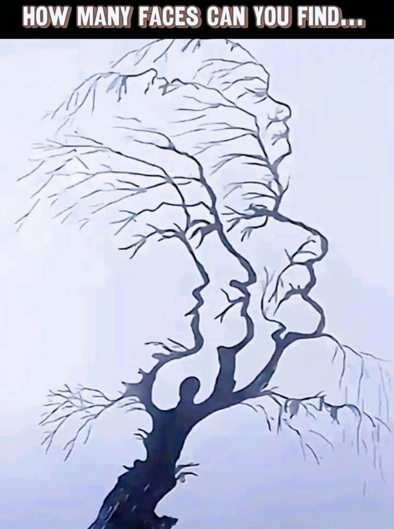 Find all hidden faces in the picture - Weveryday Stories