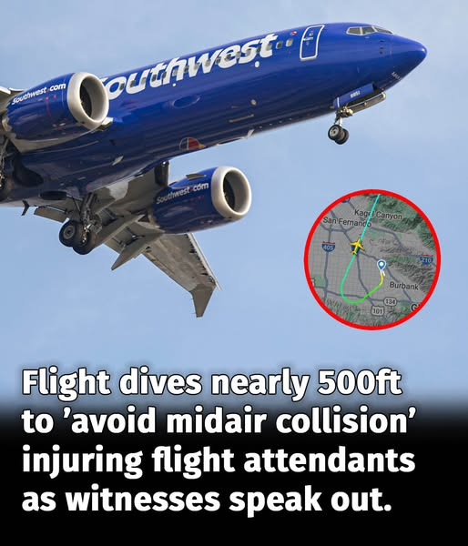 Passengers describe ‘total pandemonium’ after plan dives to avoid ...