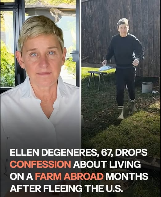 Ellen DeGeneres Opens Up About Her Move to the UK and Life Away from the Spotlight - Weveryday ...