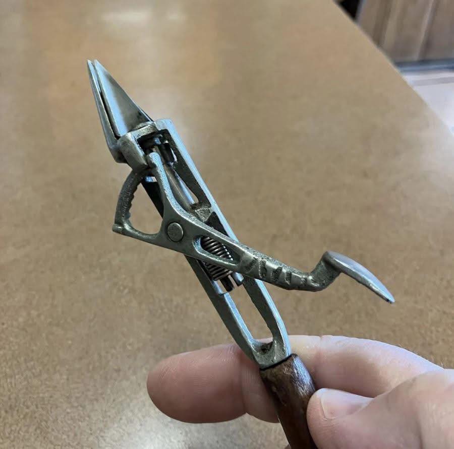 What could this unusual tool be? - Weveryday Stories