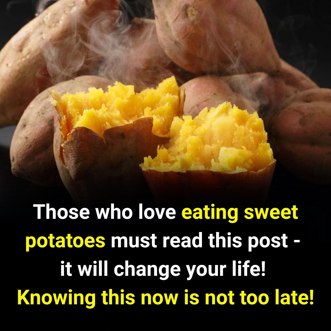 Who love eating sweet potatoes must read this post - Weveryday Stories