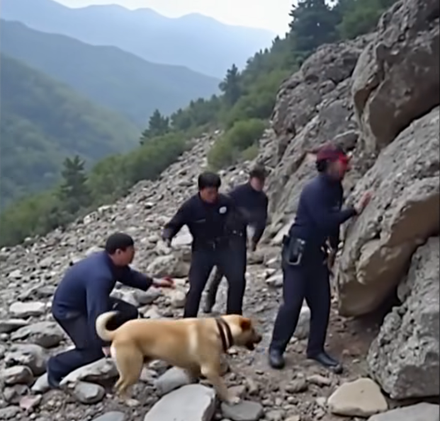 A dog and rescue team save a baby - Weveryday Stories