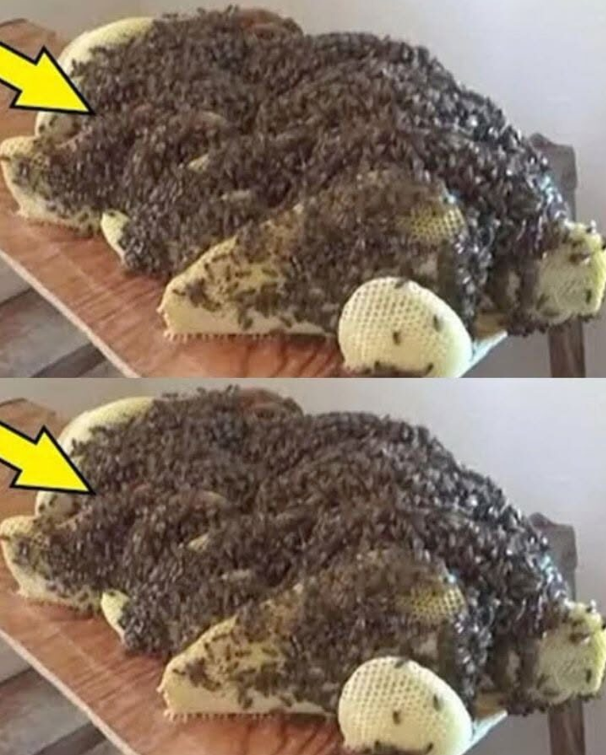 Something Moved Under the Bed… And We Never Invited It In - Weveryday Stories