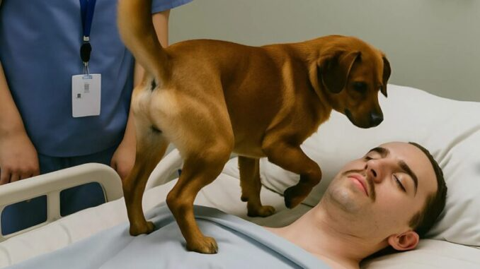 The doctors decided to turn off the life-support machines keeping the ...