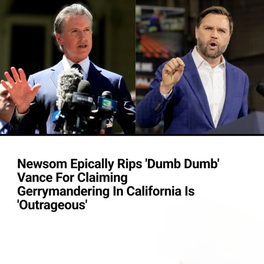 Newsom Epically Rips 'Dumb Dumb' Vance For Claiming Gerrymandering In ...