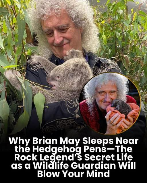 Brian May, legendary Queen guitarist, has transformed his Windlesham ...