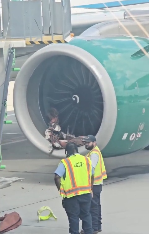 Frontier A320 Incident: Ground Equipment Sucked Into Engine Forces 9 ...