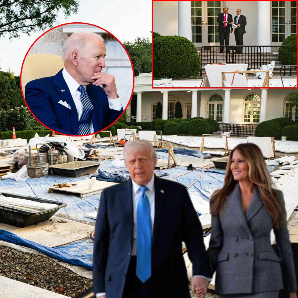 The White House Rose Garden Lawn Has Been Replaced: Check Out Donald ...