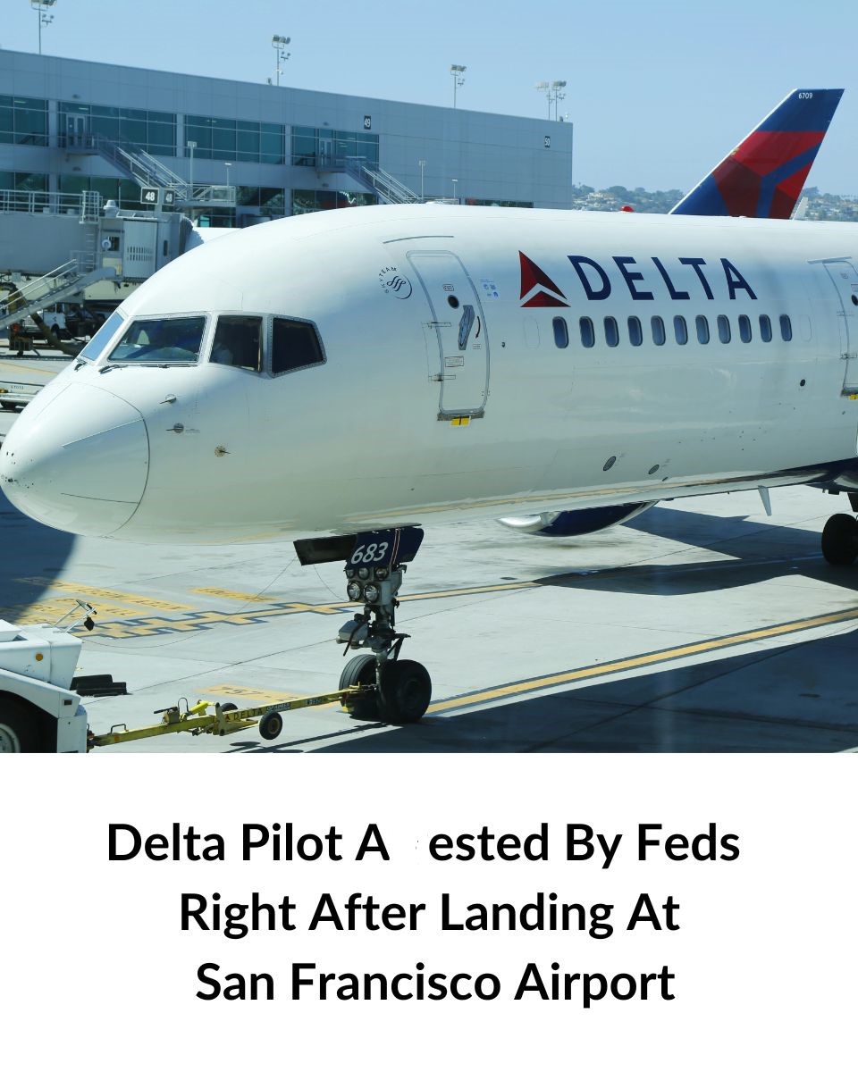 Delta Pilot A*r.est.ed by Federal Authorities Immediately After Landing ...