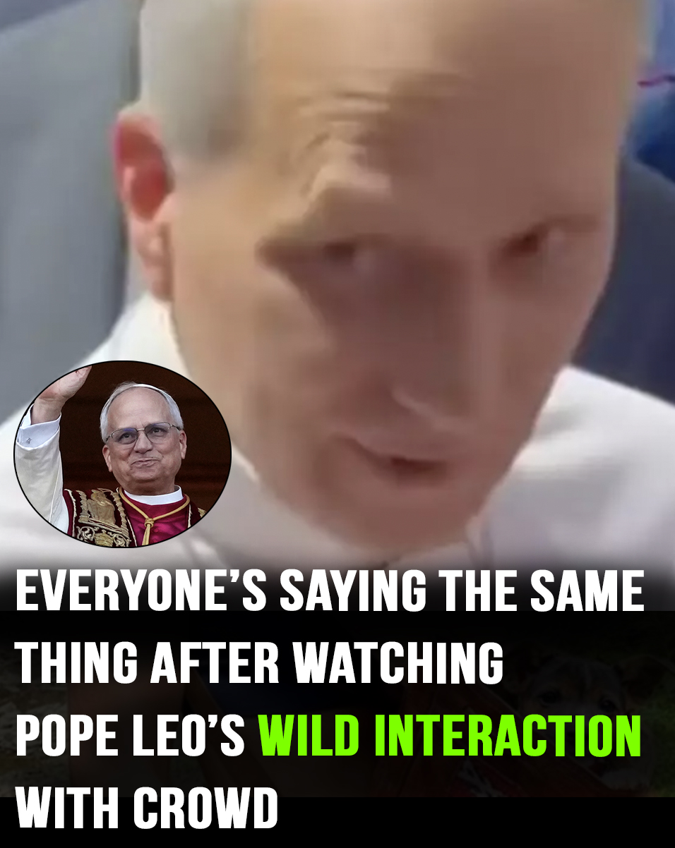 Pope Leo receives present from visiting American family – and the ...