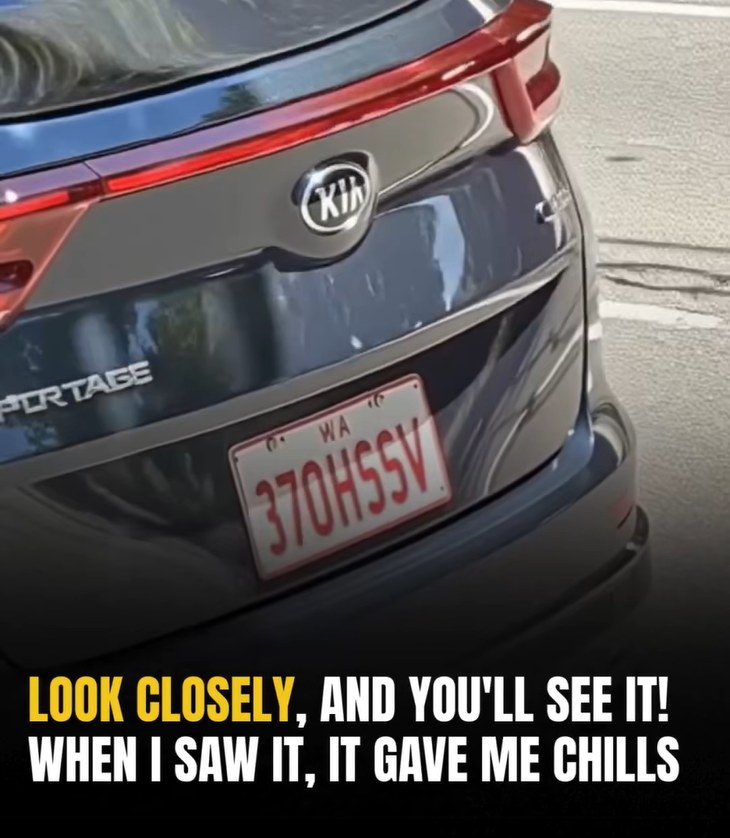 Absolutely Hilarious License Plates We’ve Seen In A While - Weveryday ...