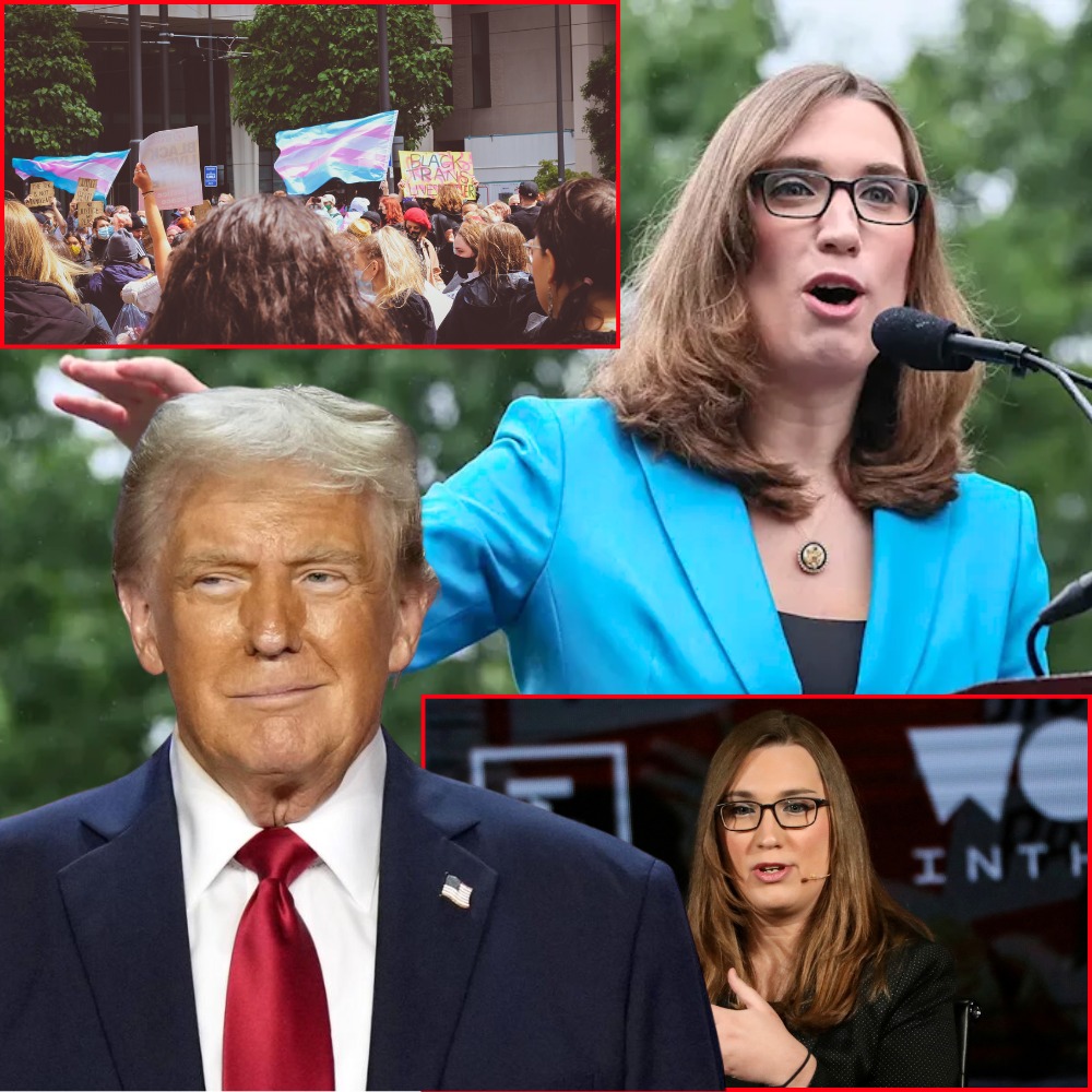 Transgender Democrat Rep. Sarah McBride Accuses President Trump of ‘All ...