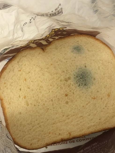 Is Stale Bread Safe to Eat? You Need to Know This - Weveryday Stories
