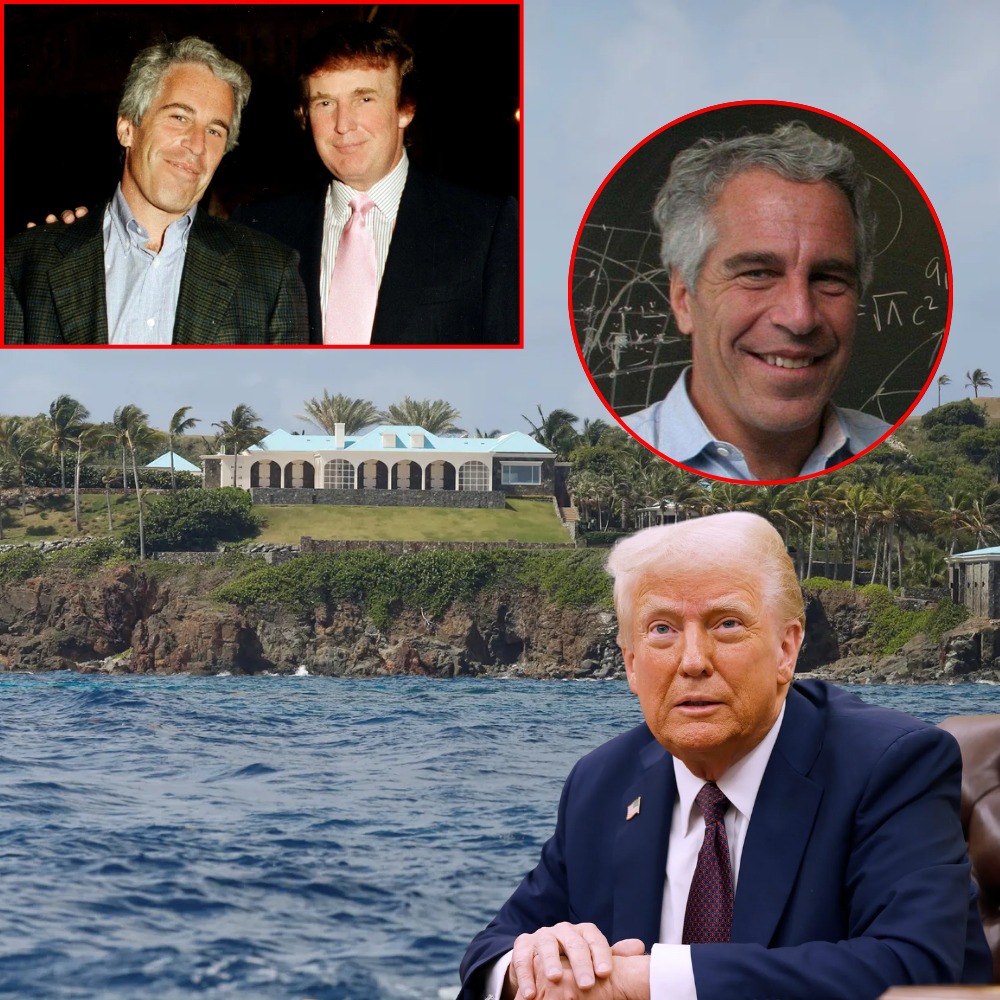 Donald Trump Says He ‘Never Had the Privilege’ to Go to Epstein’s ...