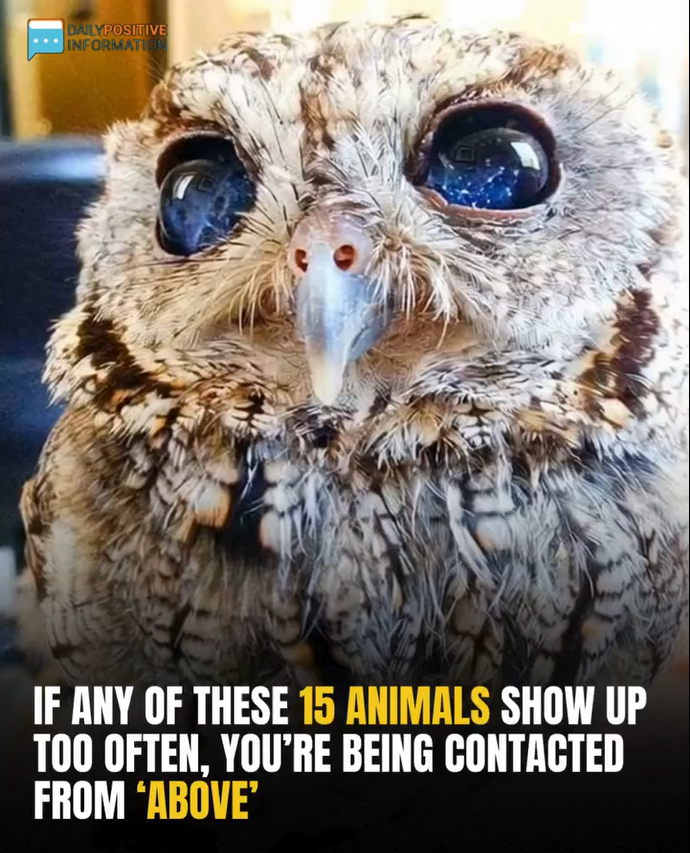 If Any Of These 15 Animals Show Up Too Often, You’re Being Contacted ...