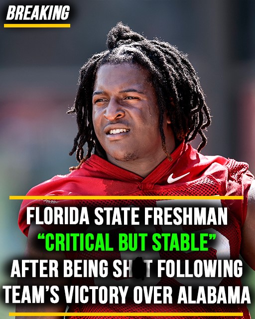 A Florida State freshman linebacker is in critical but stable condition ...