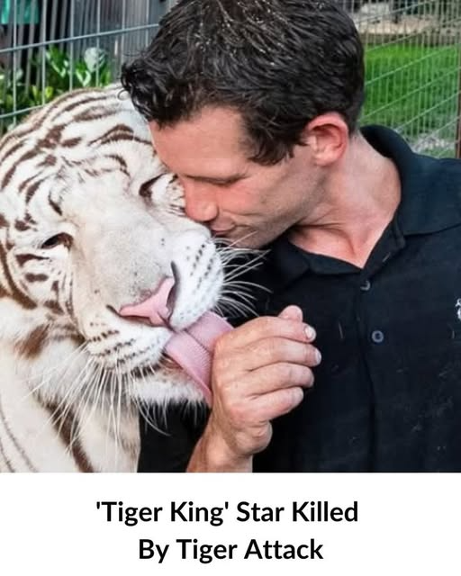 ‘Tiger King’ Star Killed By Tiger Attack During Live Show - Weveryday ...