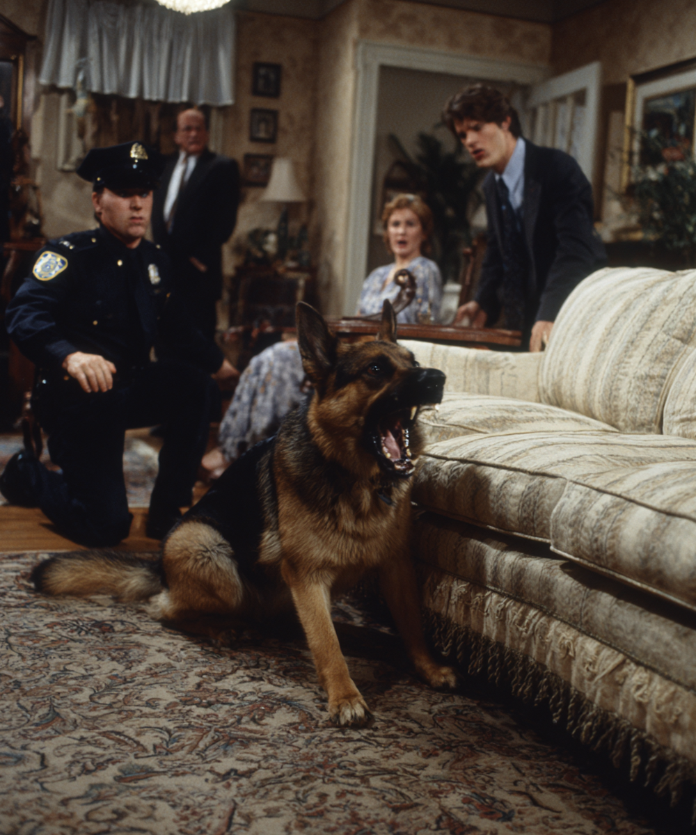 A couple heard unusual sounds from their couch — what police discovered ...