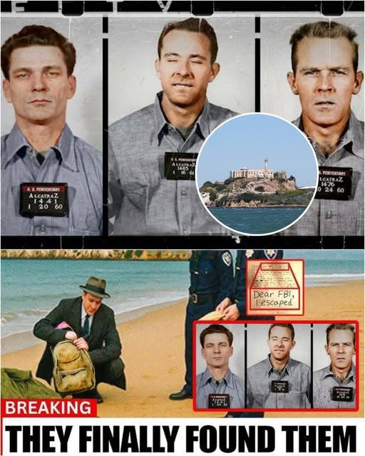 The Hidden Story of the Alcatraz Escape - Weveryday Stories