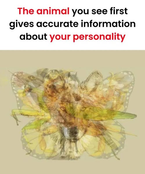 The animal you see first gives accurate information about your ...